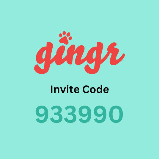 Do Better Training - Gingr App Instructions – Dobettertraining