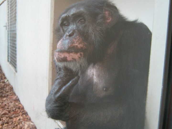 About – Dobettertraining